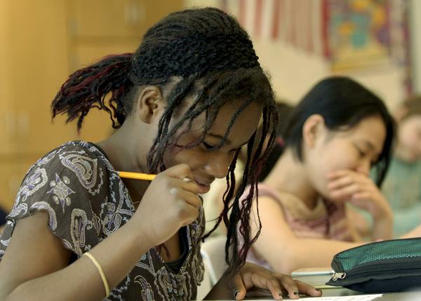 Challenging a Segregated and Unequal School System - The Black Youth ...